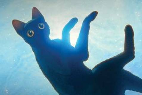 Kino filmas „Potvynis“